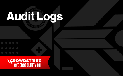 What are Audit Logs? Use Cases and Challenges
