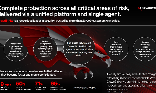 Four Ways CrowdStrike Protects Your Critical Areas of Risk | Infographic